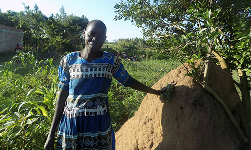 SDG 15 IN UGANDA | Toshiba Tec Europe